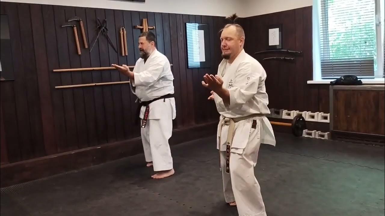 Sanchin kata Uechi ryu karate Hozonkai / Dragon, Tiger, Crane 上 地 流 唐 手 道 Uechi ryu Karate - YouTube