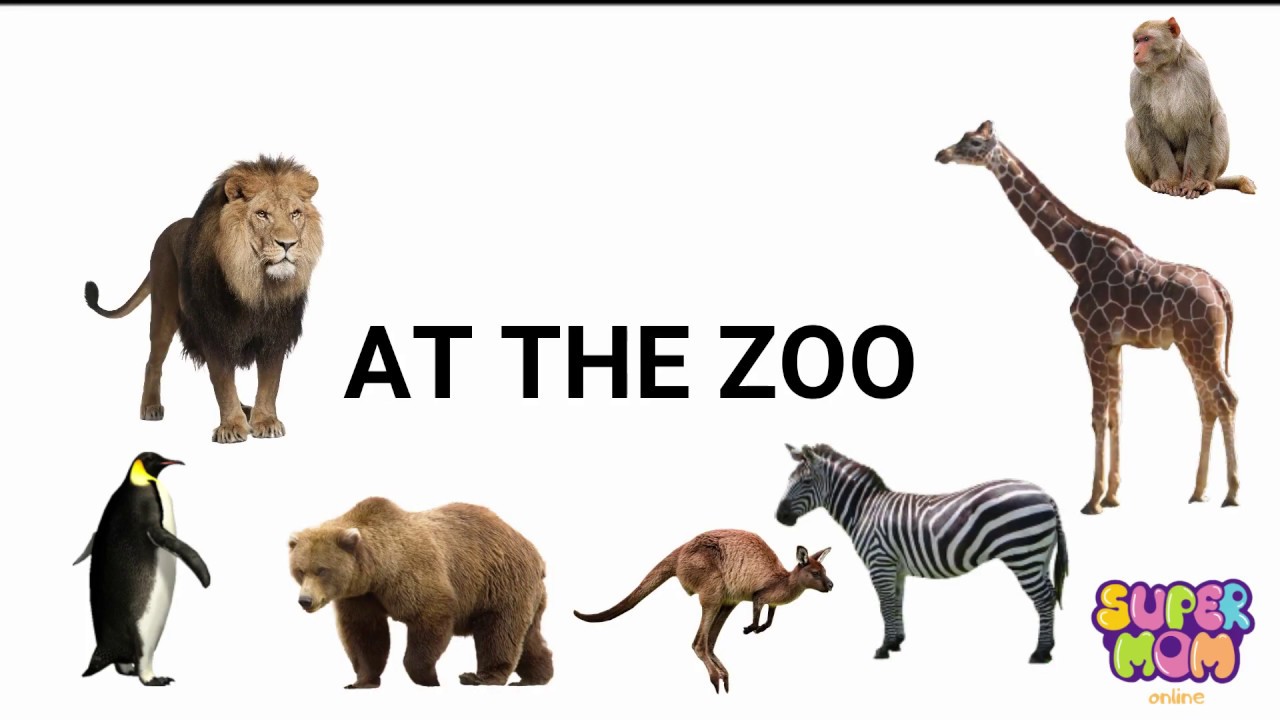 Zoo Vocabulary YouTube zoo-vocabulary-youtube