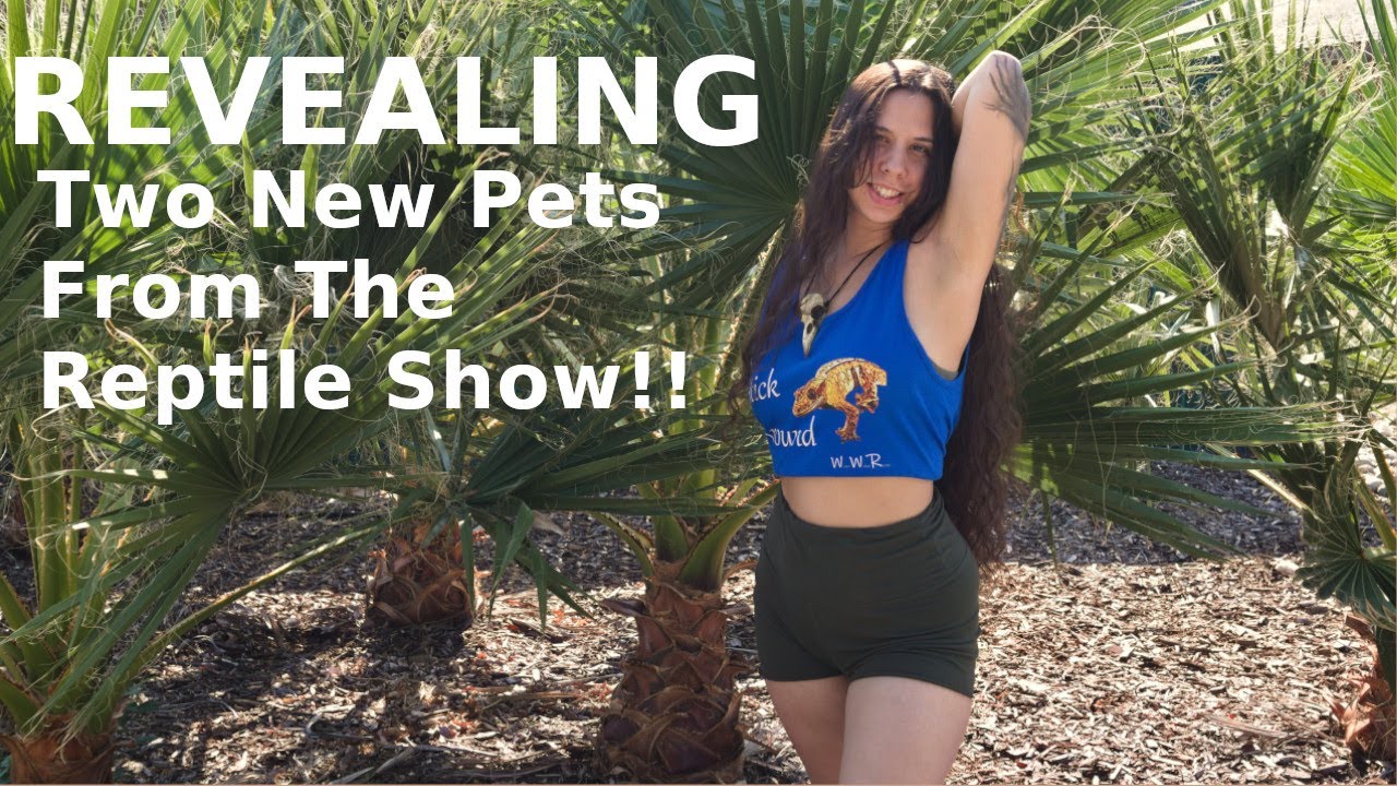 Chico REPTILE Show & Unboxing/Rehousing 🐍 - YouTube