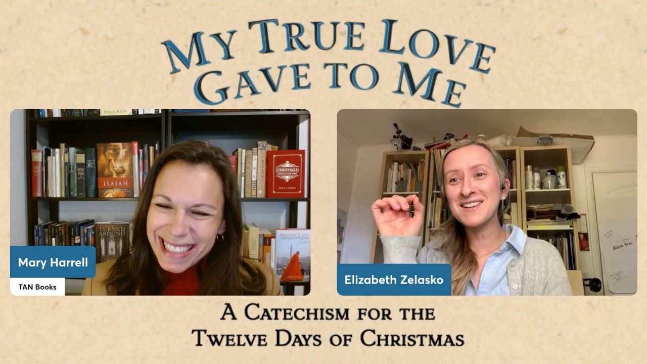 Artist Turned Illustrator Elizabeth Zelasko On Her First Book, My True ...
