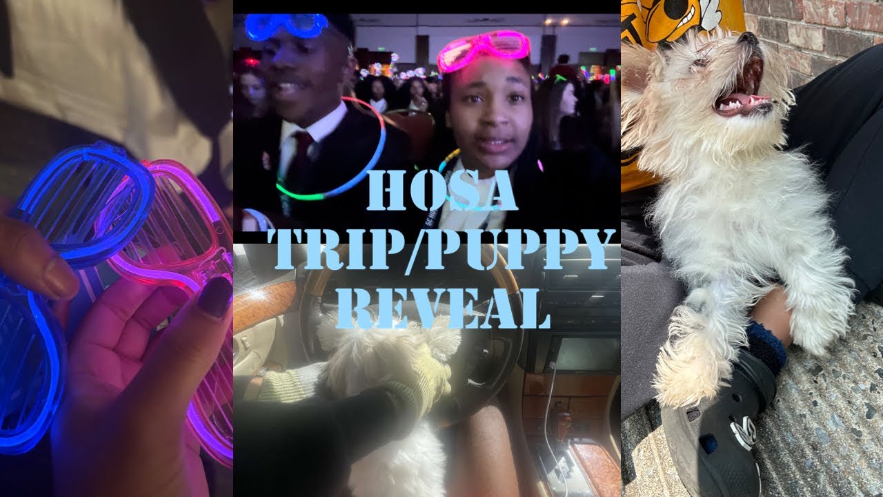 HOSA TRIP, clothing haul, and puppy reveal - YouTube