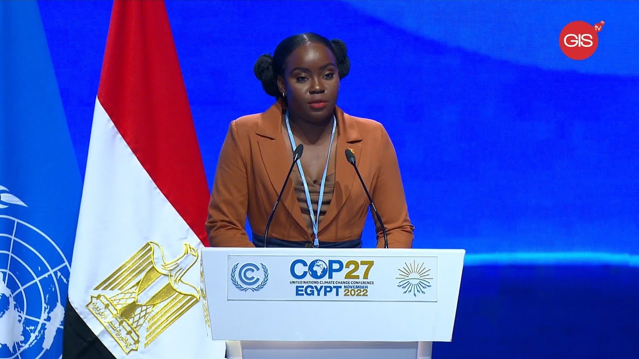 November 15th, 2022 | Hon. Kerryne James attends COP 27 in Egypt - YouTube