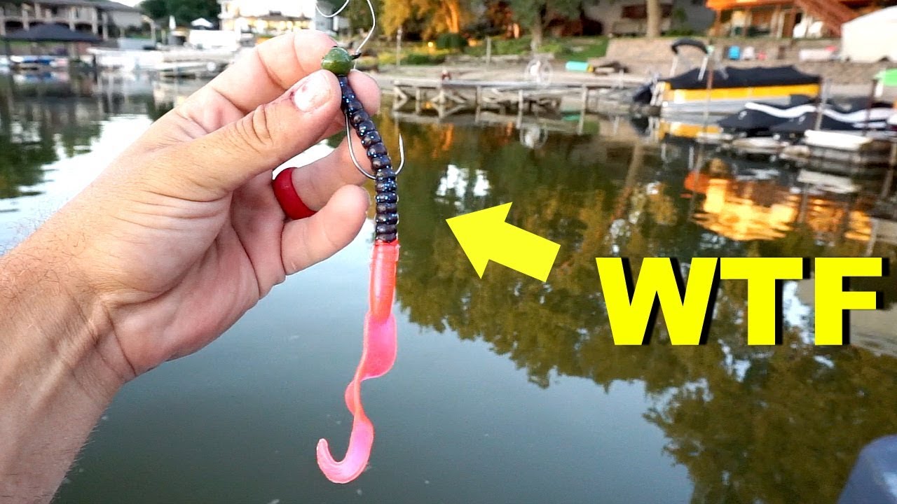 How did this STUPID LURE outfish me?!?! - YouTube