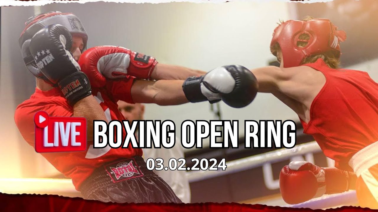 Boxing open ring 03.02.2024 - YouTube