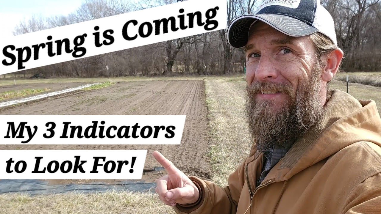3 Indicators Spring is Comimg to Your Garden! [Plus 1 More] - YouTube
