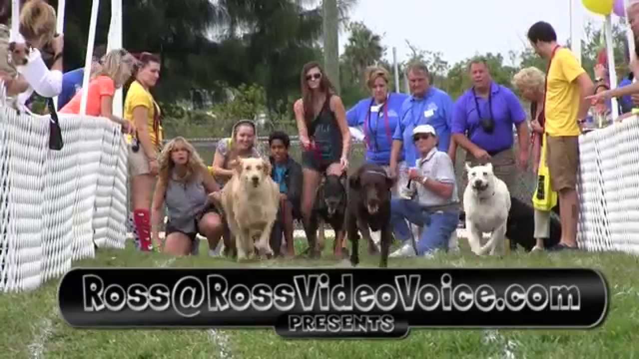 Fur Seasons Mutt Derby - YouTube