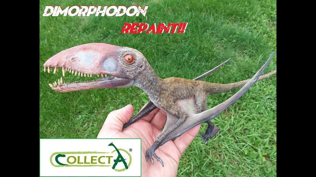 Collecta Dimorphodon Repaint!! - YouTube