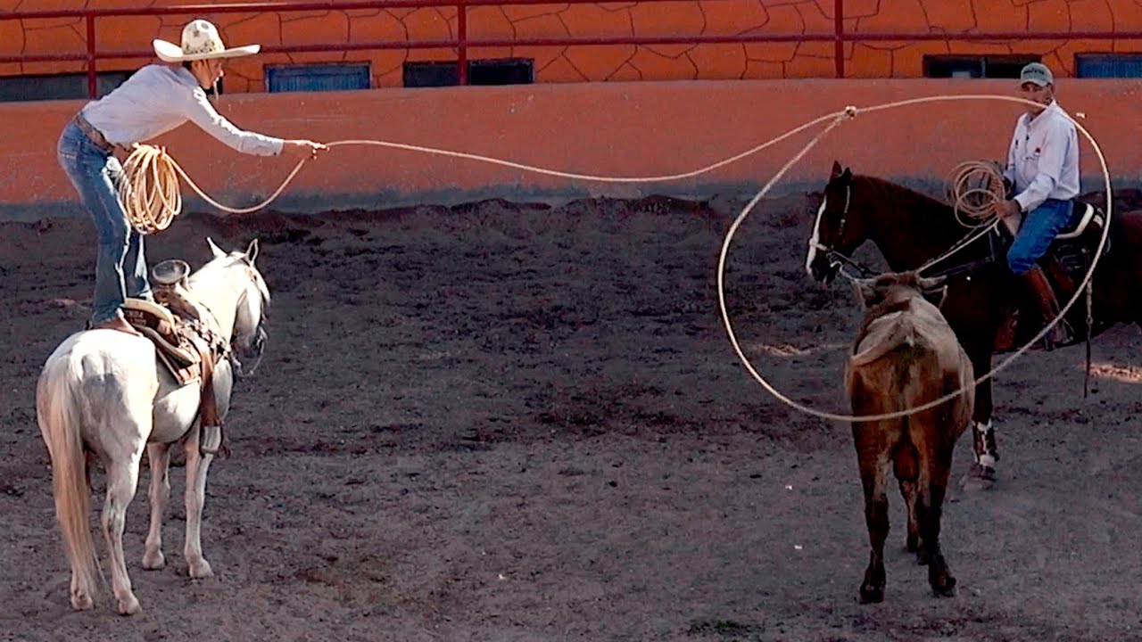 LAZOS - PIALES - FLOREO DE SOGA - Sebastian y Martin Perea TERNA EN EL ...