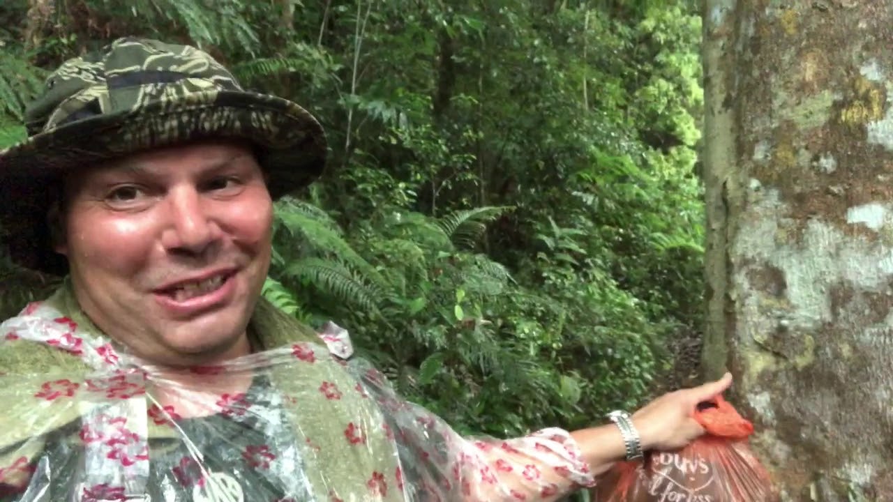 Hamburger Hill, Hill 937,Vietnam War Today - YouTube