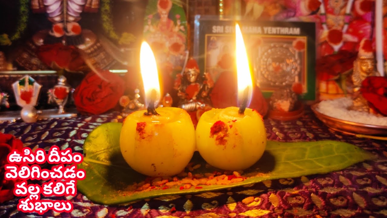 ఉసిరి దీపం ఎలా పెట్టాలి/కార్తీకమాసంలో ఉసిరిదీపం వెలిగించడం వల్ల కలిగే ...