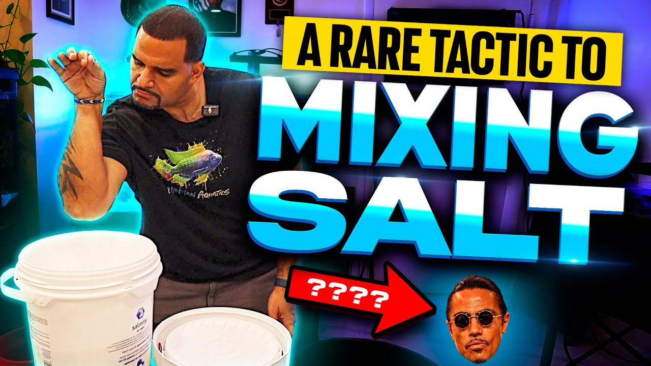 Beginner Level Salt Mixing! (Aquavitro Salinity) - YouTube