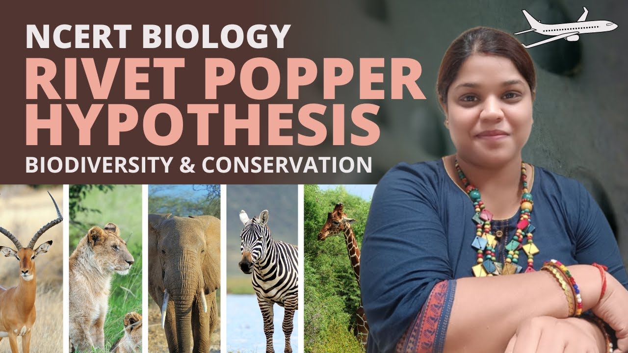 Rivet Popper Hypothesis: What is it? - YouTube