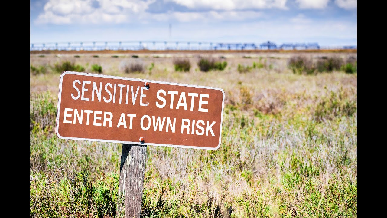 Sensitive Places - YouTube