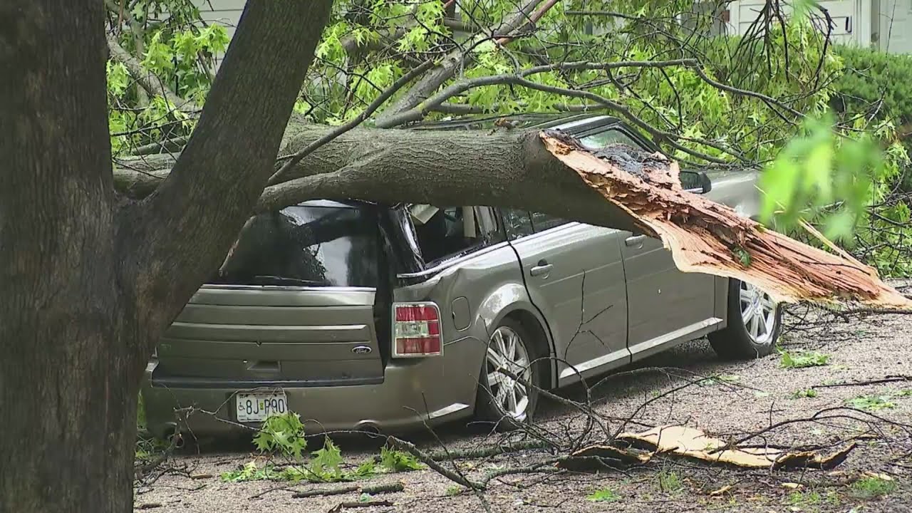 Driver describes Independence tree that fell on car within inches of ...