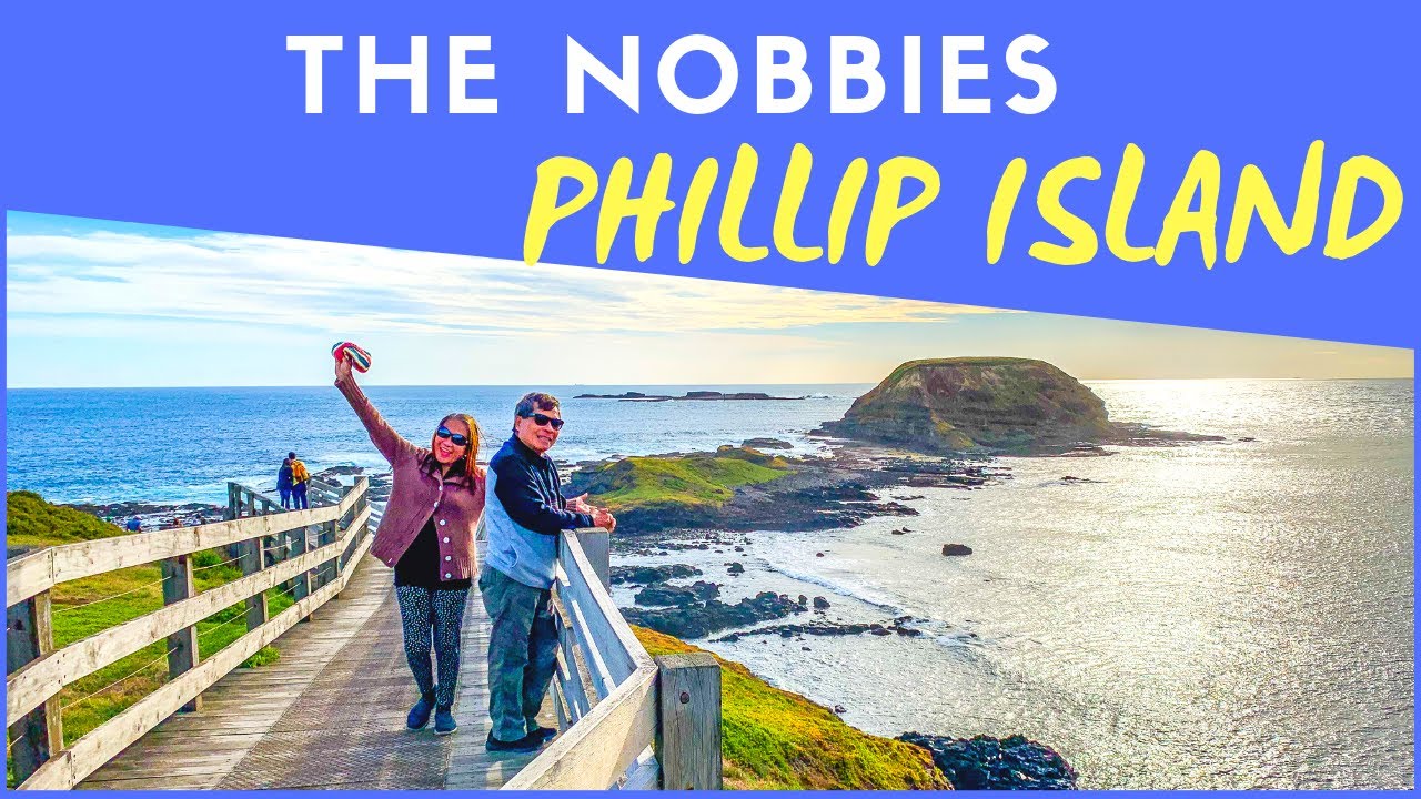 Exploring the Nobbies Phillip Island - YouTube