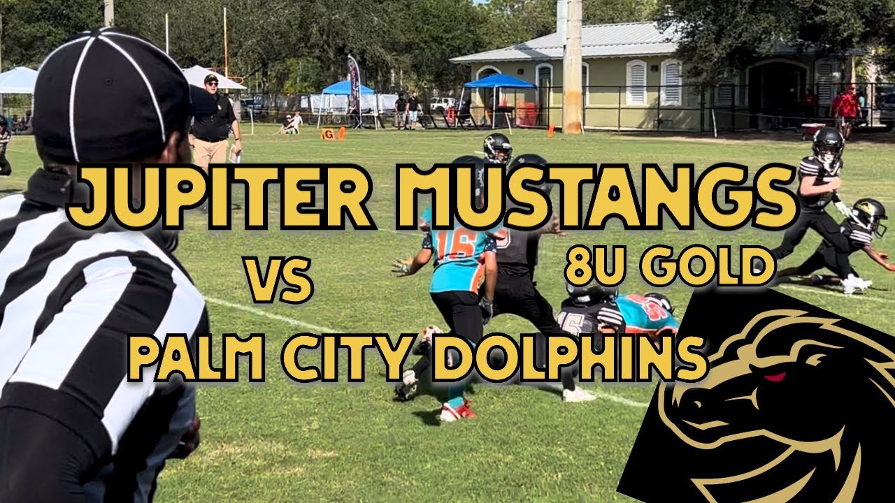 Highlights of Jupiter Mustangs 8U Gold || vs Palm City Dolphins - 2023 ...