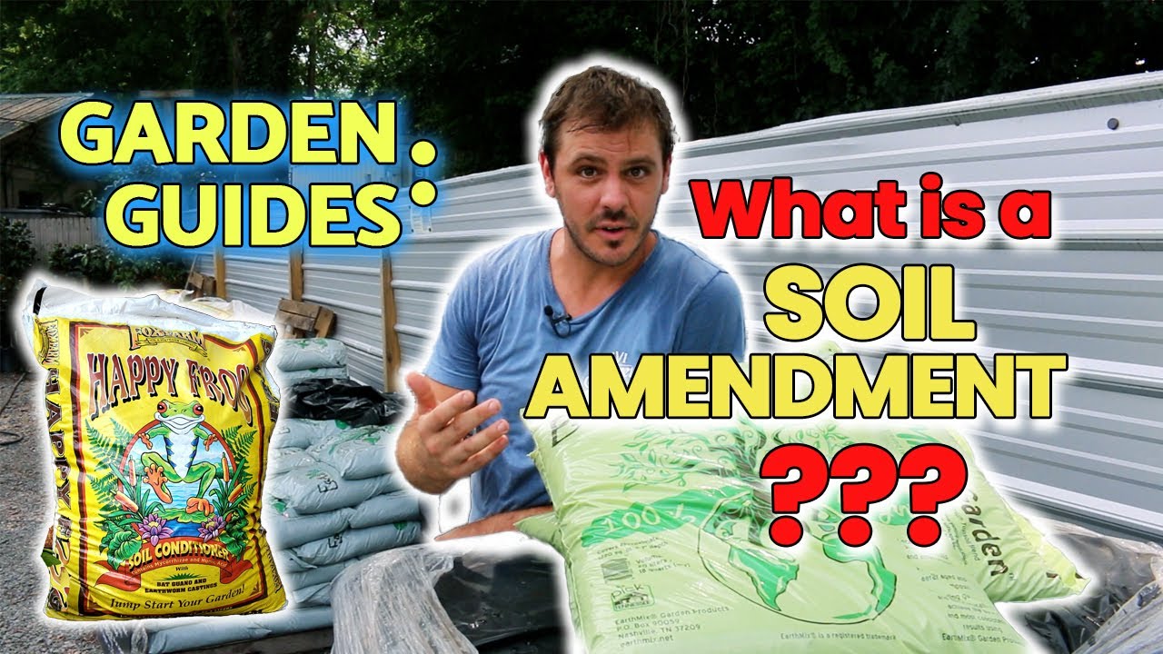 What Is A Soil Amendment & How Do I Use It? - YouTube