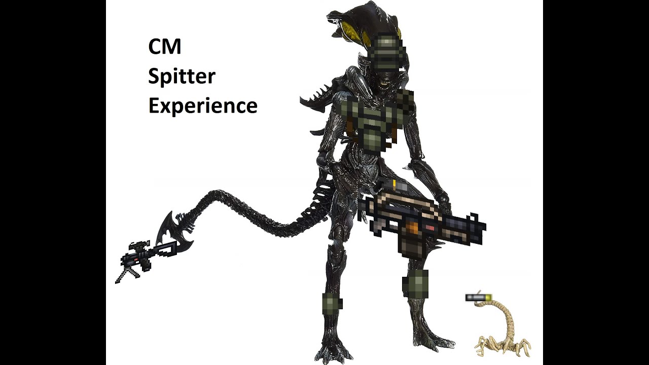 Spitter experience - YouTube