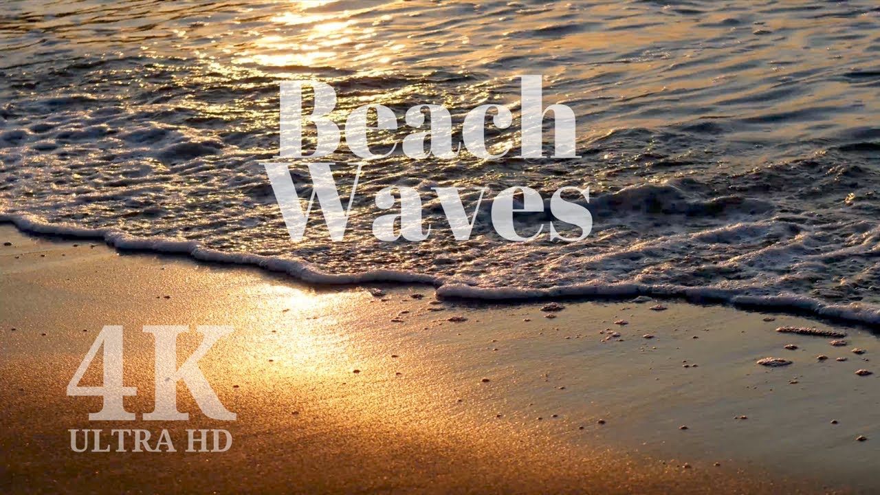 Sea Waves with golden sands | Nature video | 4K | Copyrights free ...