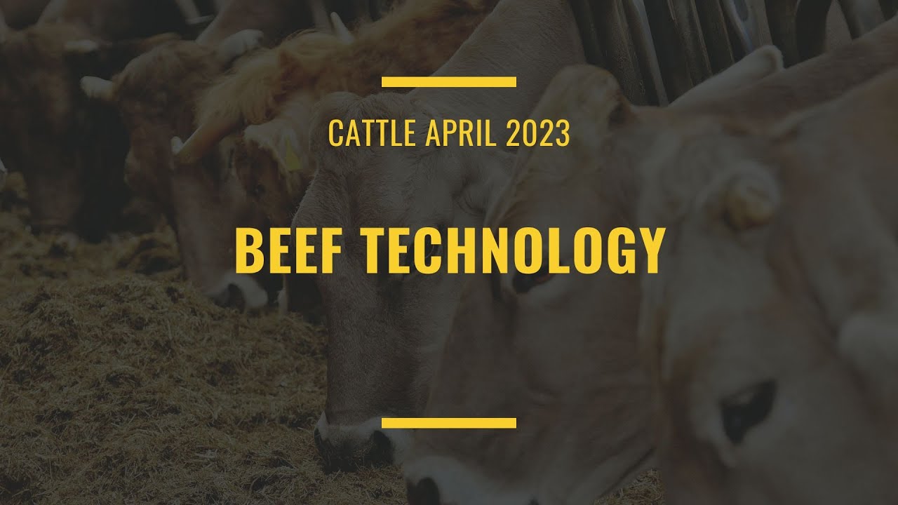 Beef technology - YouTube