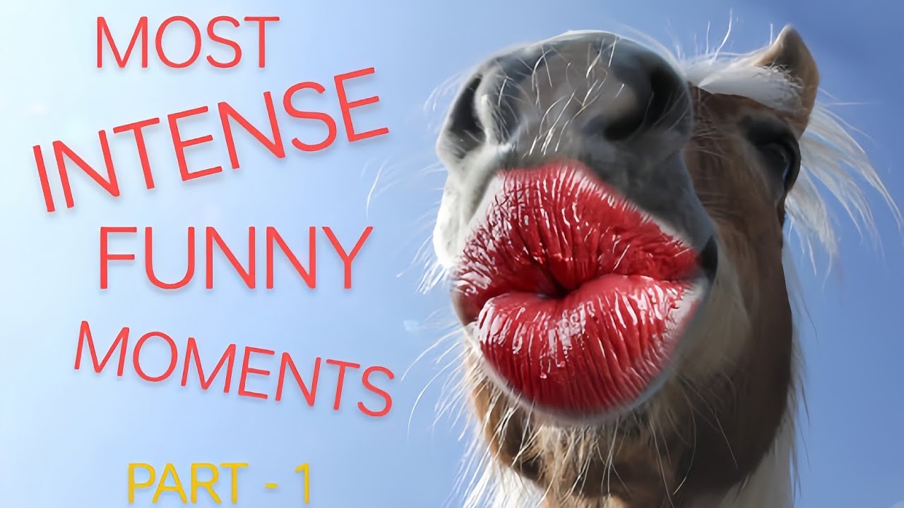 Most intense funny moments of the history 🤣 - YouTube