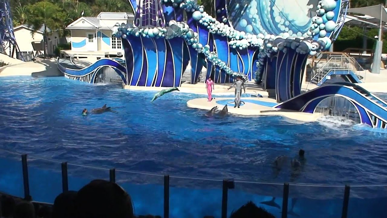 Show @ the whale and dolphin theater - Sea world, Orlando, Florida Part ...