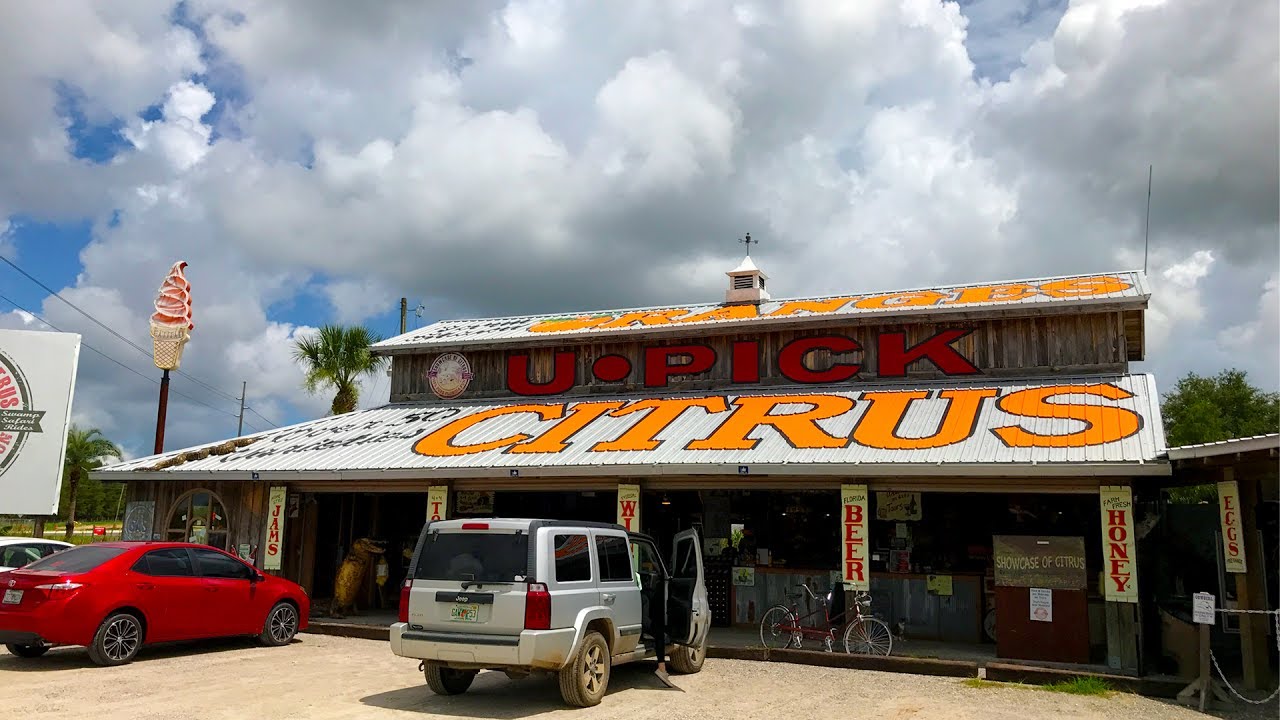 Showcase of Citrus - 100% Pure Florida Fun - YouTube