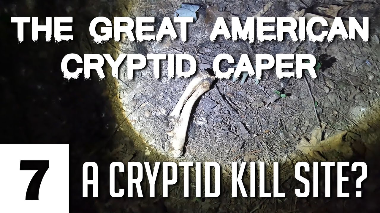 Cryptid Hunting Road Trip: E7 - Bones in the Forest - YouTube