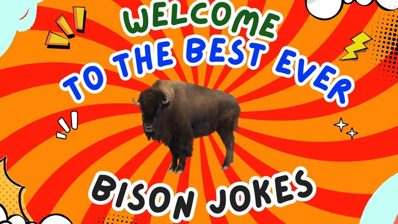 Best Ever BISON Jokes 🦬 - YouTube