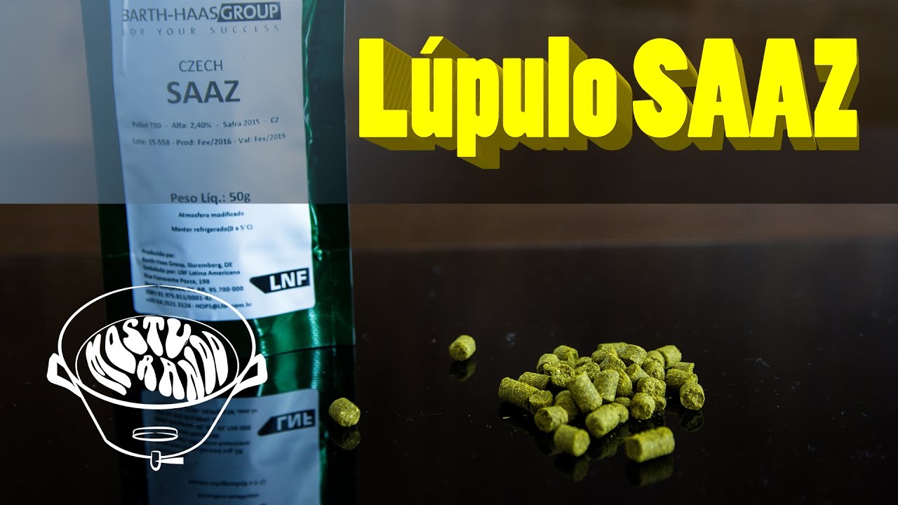 Lúpulo Saaz — Clássico e tradicional, não tem erro! - YouTube