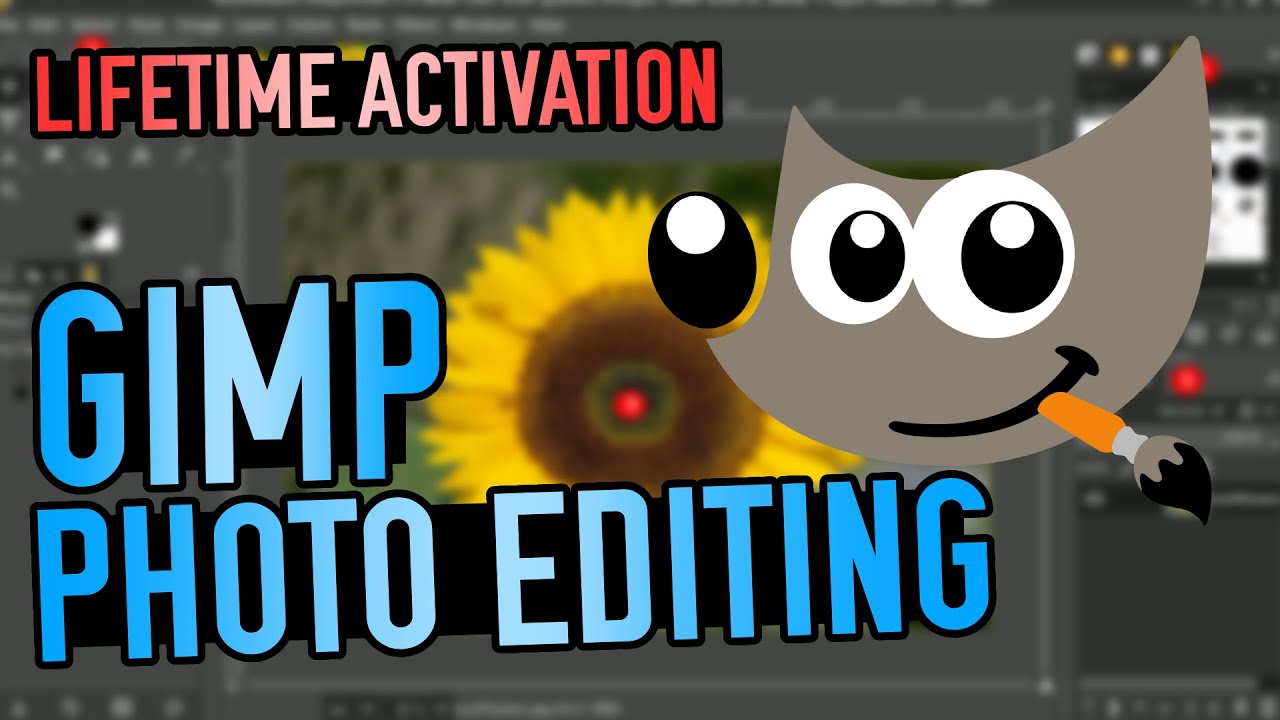 GIMP 2025 – Free Photo Editor Installation & Setup | Step by Step Guide ...