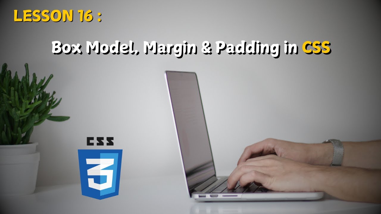 CSS Box Model, Margin & Padding in CSS | FrontEnd Web Development with HTML CSS JS - Tutorial#16 ...