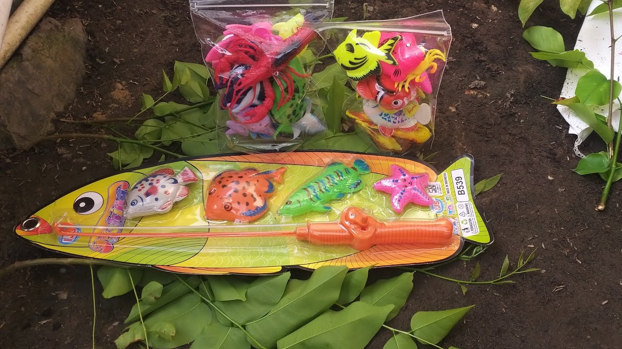 Mancing Ikan Pari, Ikan Arwana, Ikan Nemo, Ikan Buntal, Ikan Louhan ...
