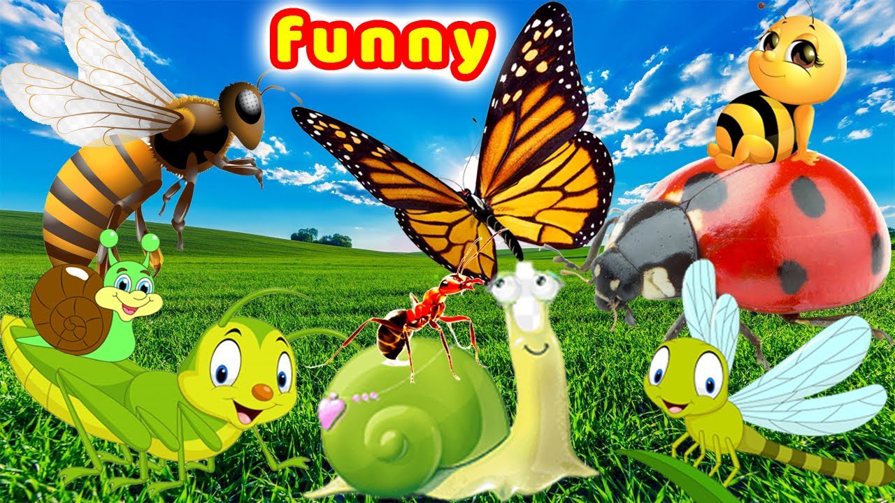 Sounds and names of insects, funny - Bee sounds, ant sounds, locust ...