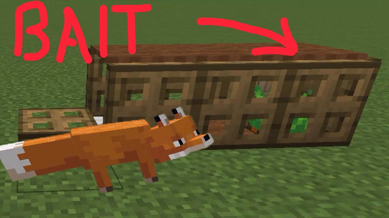 how to make a fox trap with working bait - YouTube