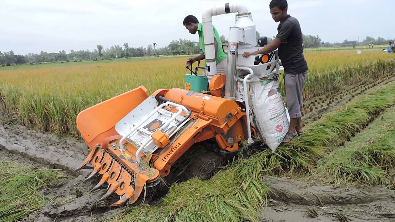 Reaper cum Combine Harvester June 2016 - YouTube
