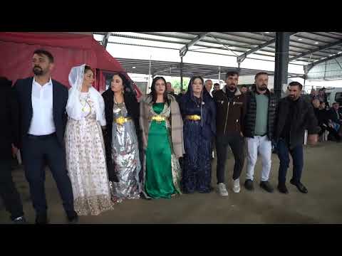 05 Aşira Goyan Adana Beritan & Doğan Düğün