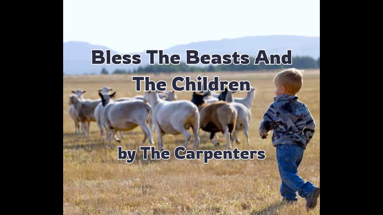Bless The Beasts And The Children by The Carpenters with lyrics STORY ...