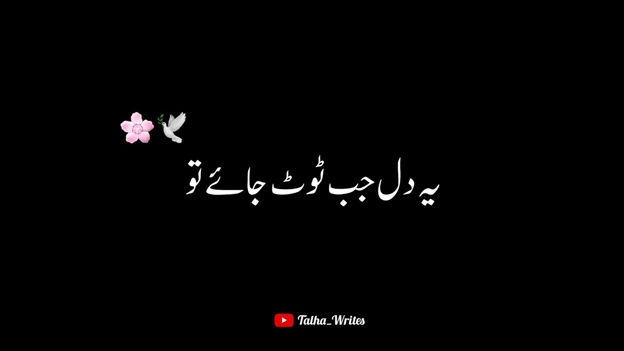 Parizad shayari 🌸🕊️ | Urdu Poetry | Black screen lyrics video - YouTube