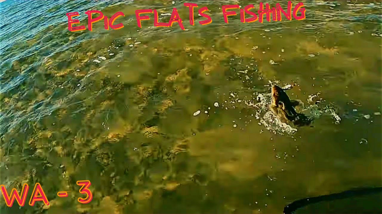 Epic fishing the Exmouth Gulf - WESTERN AUSTRALIA - Episode 3 - YouTube