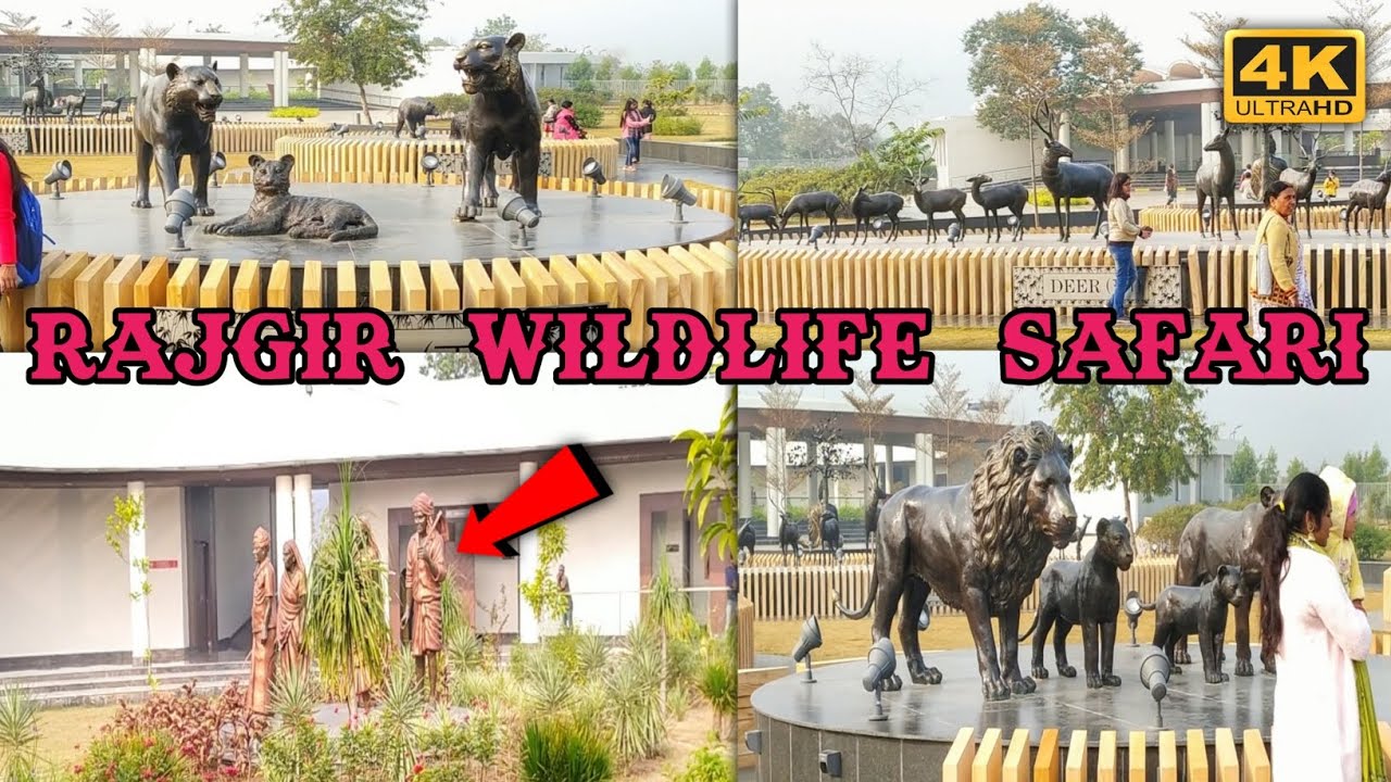 Rajgir Wildlife Safari || राजगीर वन्यप्राणी सफारी | Full Explore ! # ...