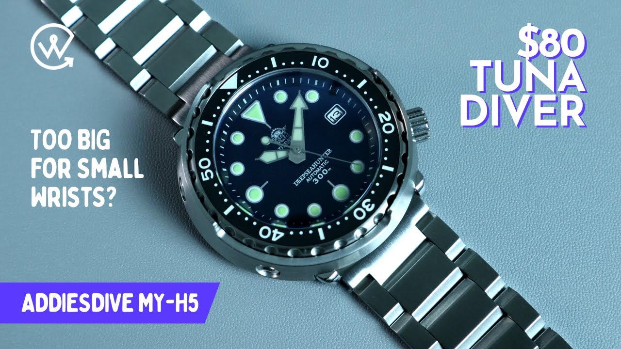 Addiesdive MY-H5 | Most Affordable Tuna Diver You Can Buy - YouTube