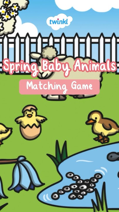 Spring Baby Animals Matching Game | Twinkl USA - YouTube