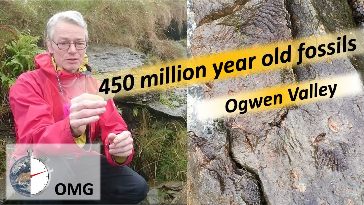 450 million year old fossils, Ogwen Valley - YouTube
