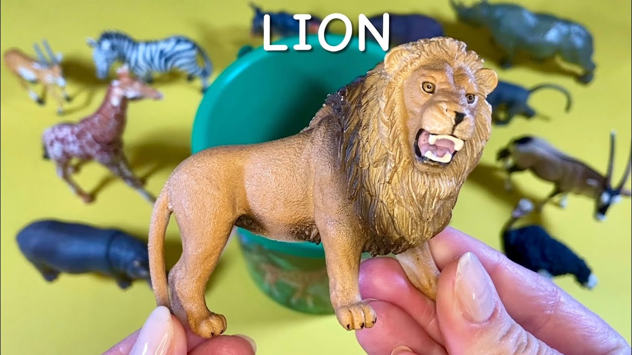Safari Adventure with Big Wild Animal Toys - Learn Animals Names for ...
