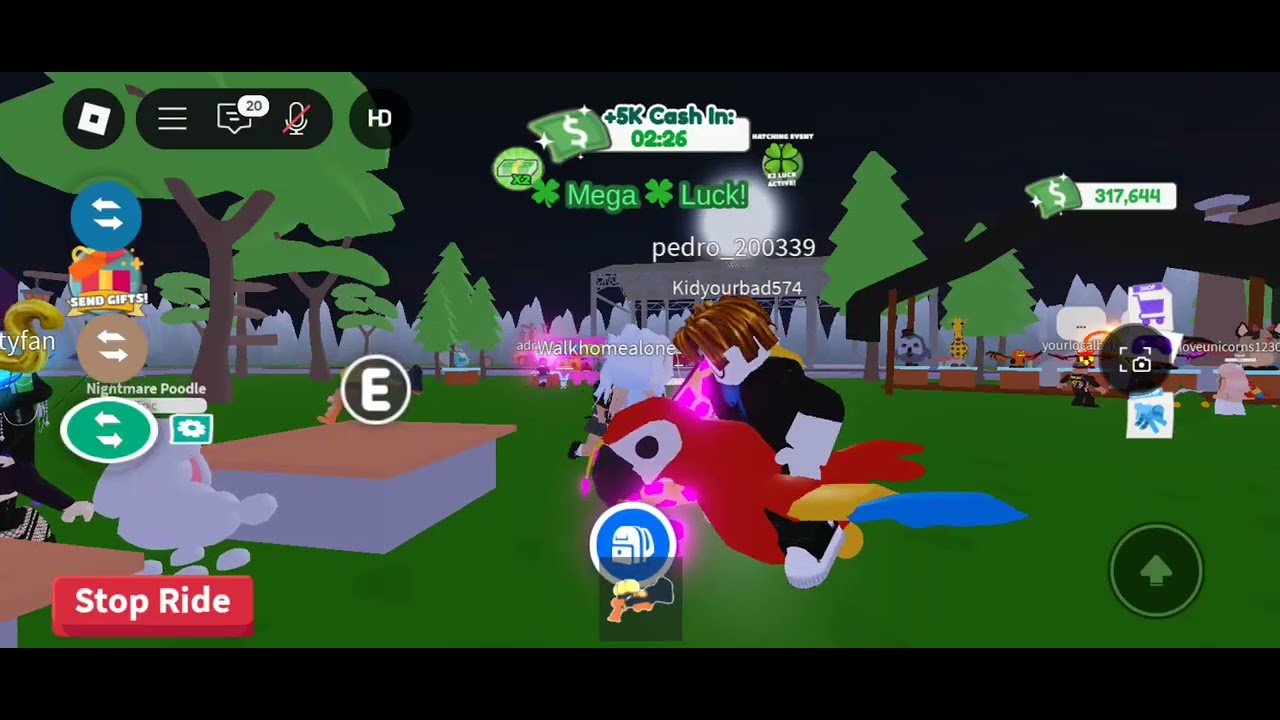 A custom adopt me pets game. friend me too if u want... - YouTube