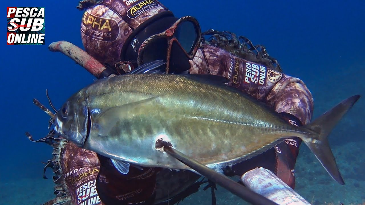 PESCA SUB : Sardegna pesca apnea in acqua bassa - Pesca subacquea da 2 ...