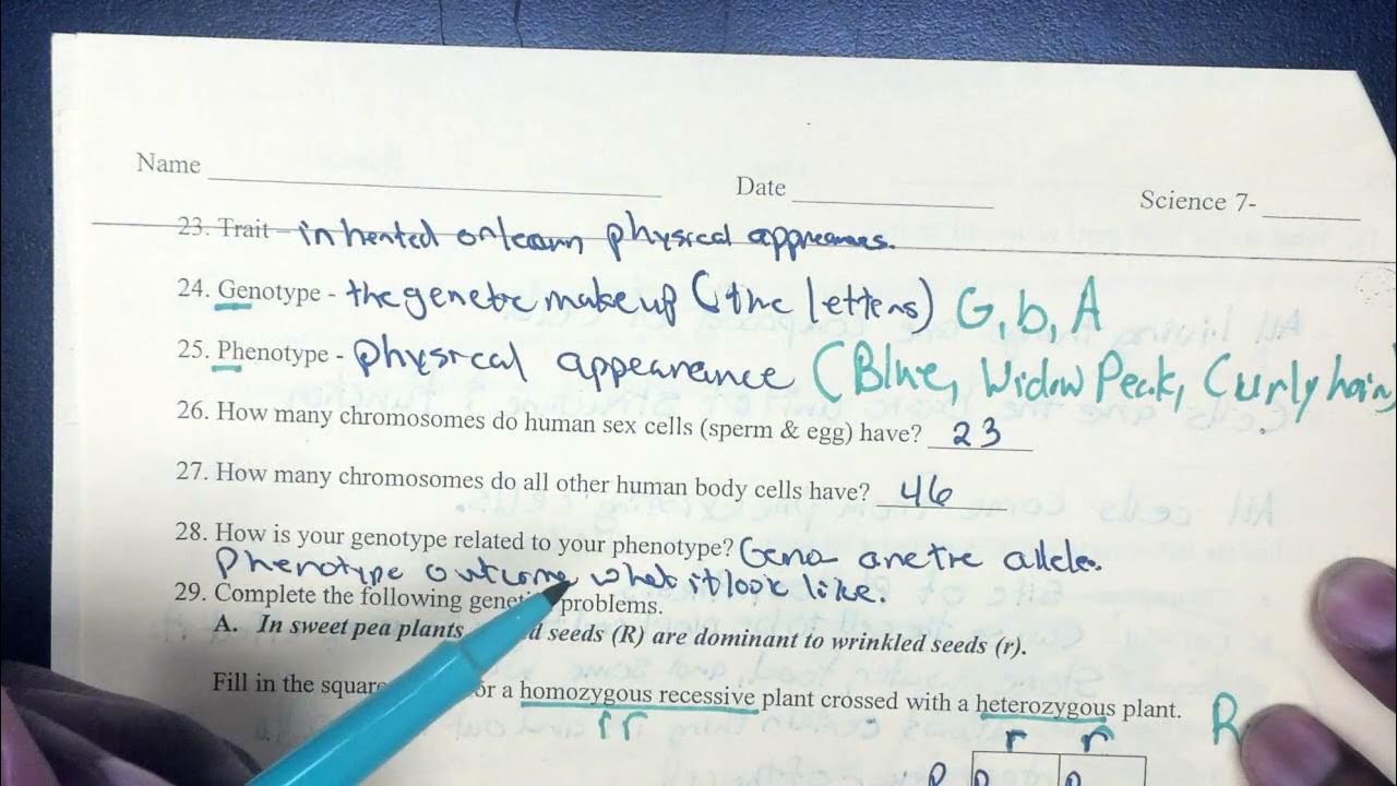 7th grade Science Final Review 2023 - YouTube