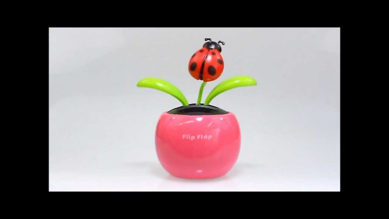 Solar Dancing Ladybug - YouTube