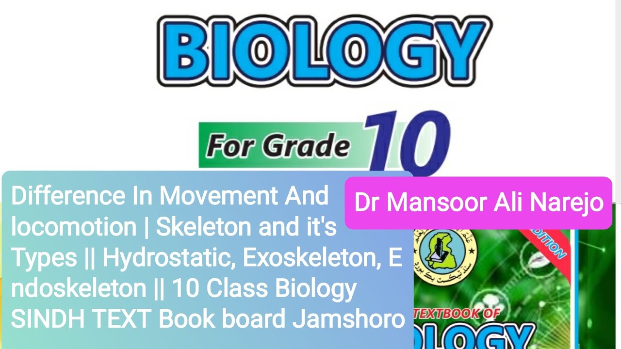 3.2 SKELETON AND IT'S TYPES | Hydrostatic, Exoskeleton, Endoskeleton ...